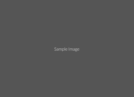 Gallery and Image Styles - Direct Source Packaging Co.